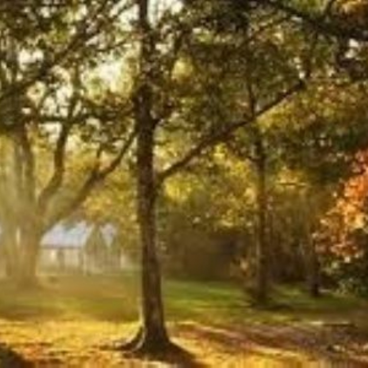 St Nicholas C of E Primary School - 12th June 2024